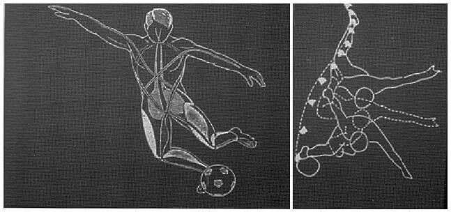 Pubalgie du sportif, symptômes, traitement puis rééducation