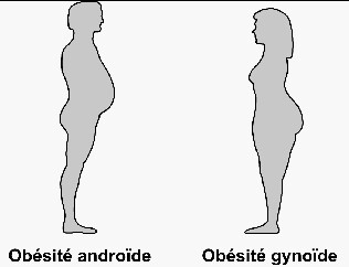 activit-physique-et-ob-sit-mieux-conna-tre-son-imc