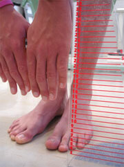 Teste De Schober Pdf - skillhelper