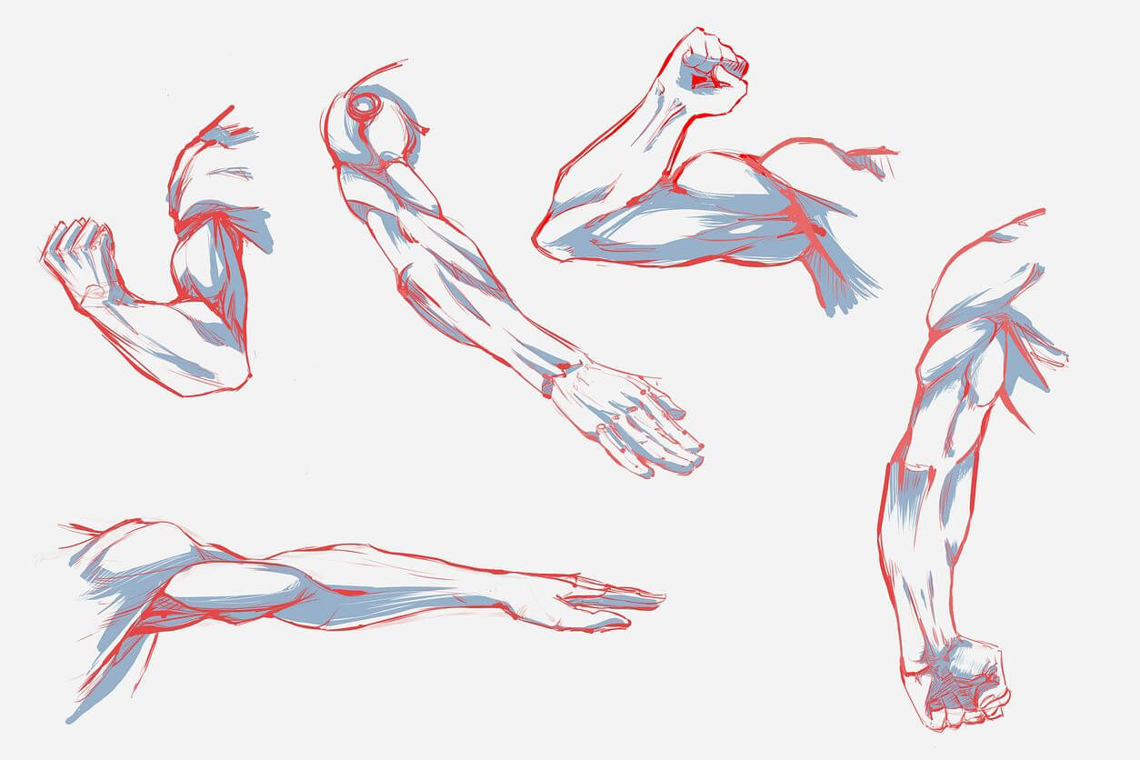Lésions musculaires : diagnostic, classification et traitements | IRBMS
